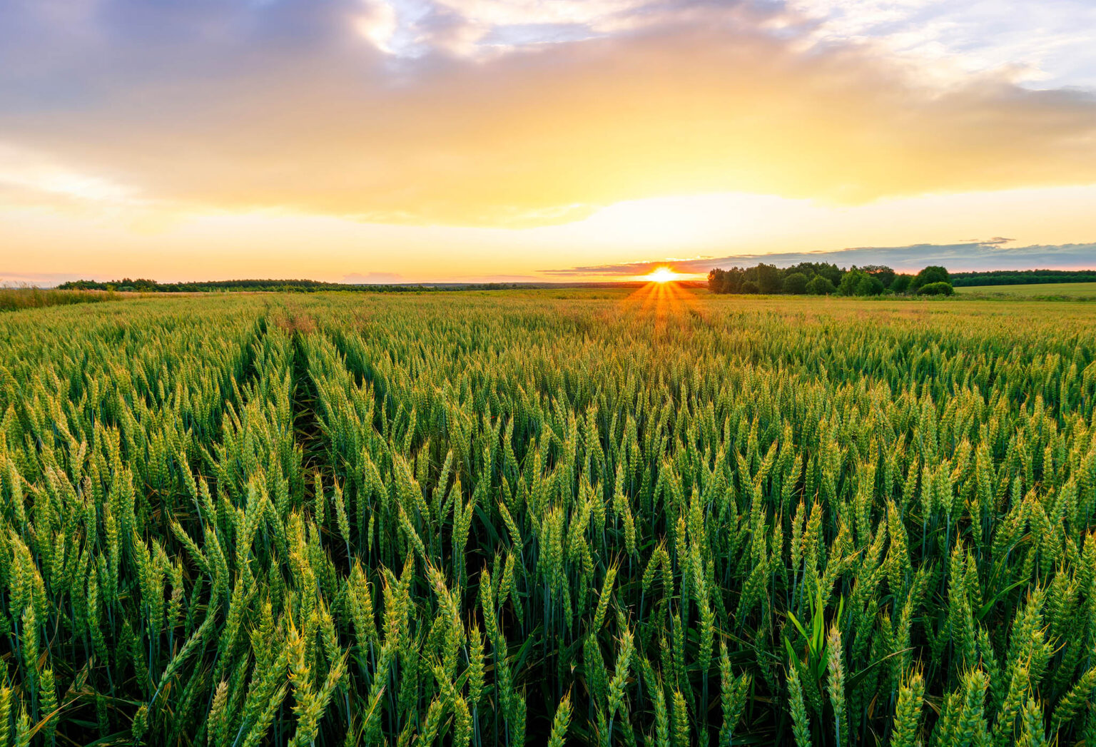 Unigestion | Asset management Journey Leader